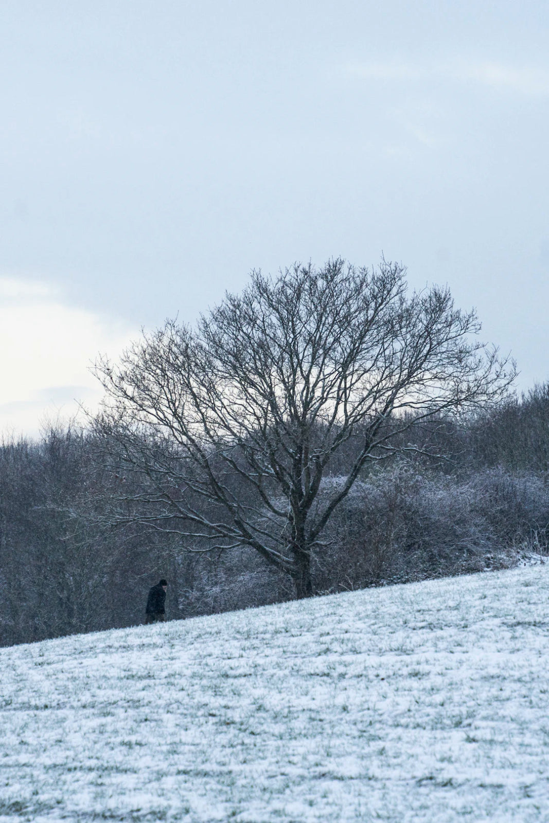 Essential Winter Cleaning Tips for a Cozy Home – Gunk Getter